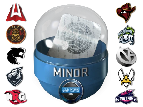 Региональные претенденты IEM Katowice 2019 (голографические/металлические) КС ГО | Купить ...